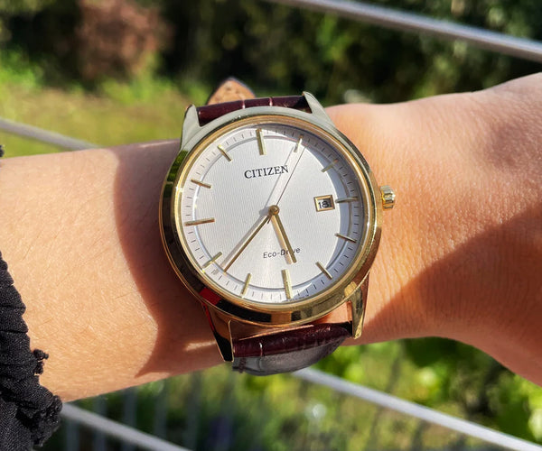 Collection of Citizen Eco-Drive Watches - CitywatchesNz